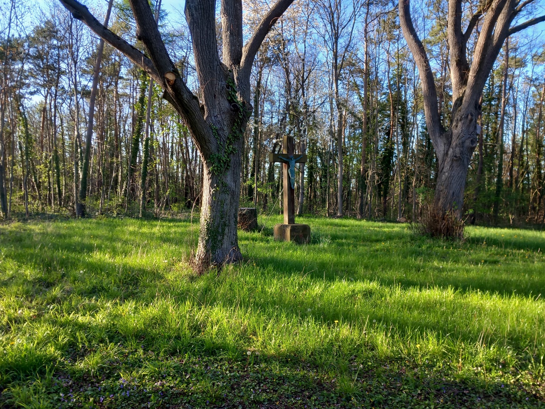 Waldfest 2024 entfällt. Termin ist nun wieder für 2025 geplant. - Calenberg